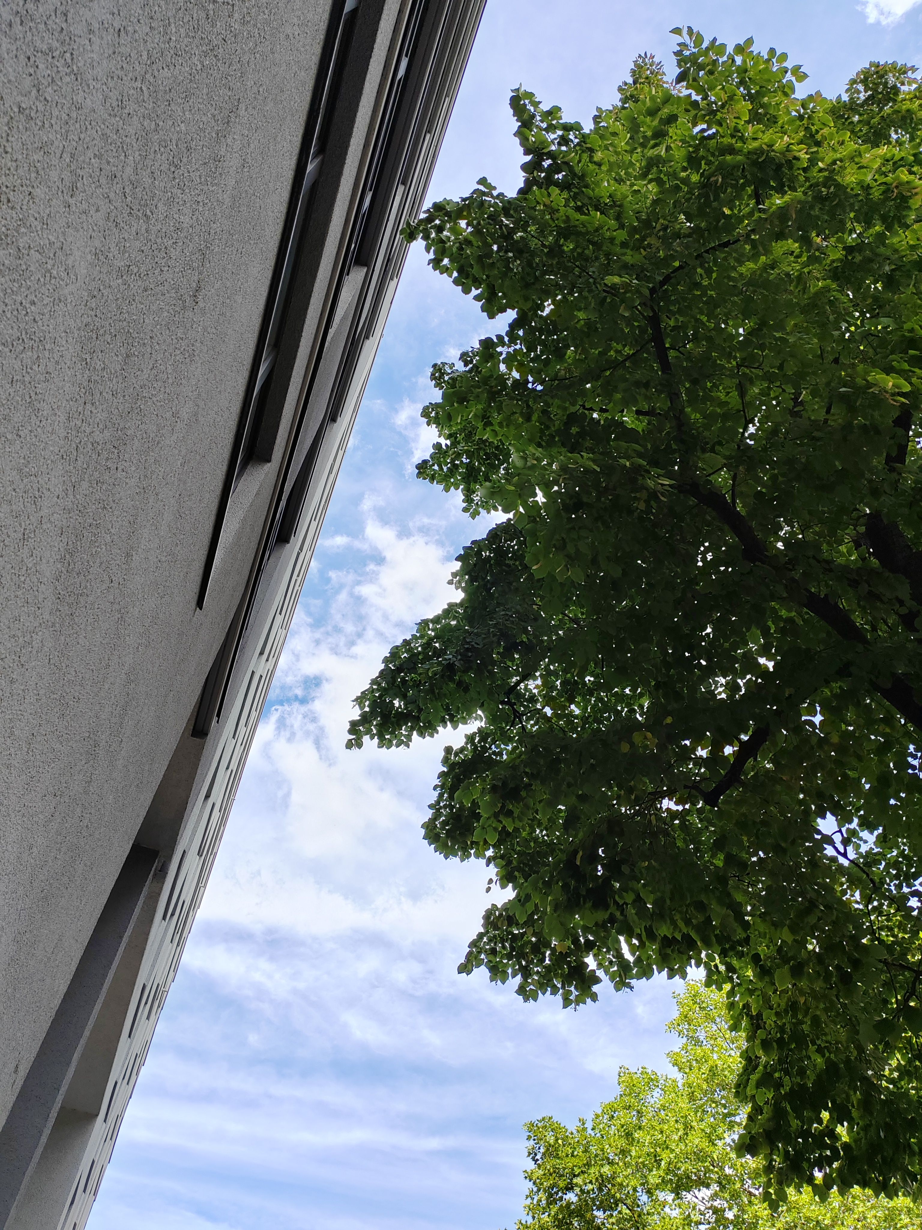 Honor 70 first look: A significant step forward