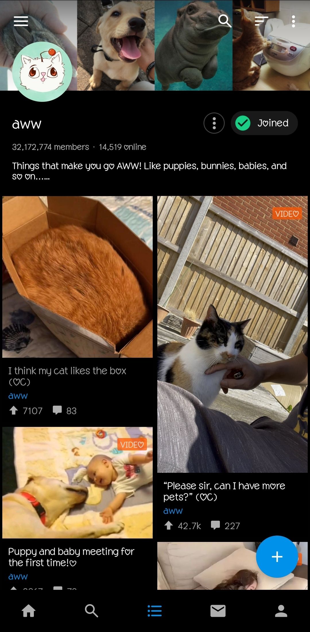 11 best social apps in 2023