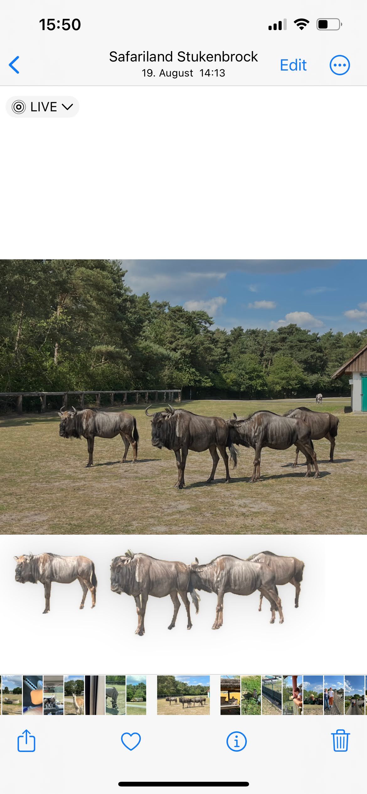 iOS 16 vs. Android 13: Which smartphone OS is the best?