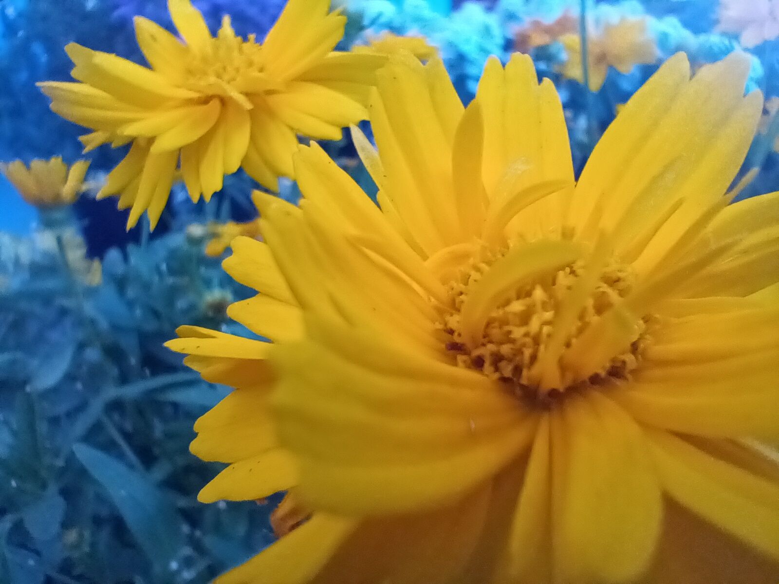 REVVL 6 Pro 5G review: T-Mobile is setting a high bar for budget phones