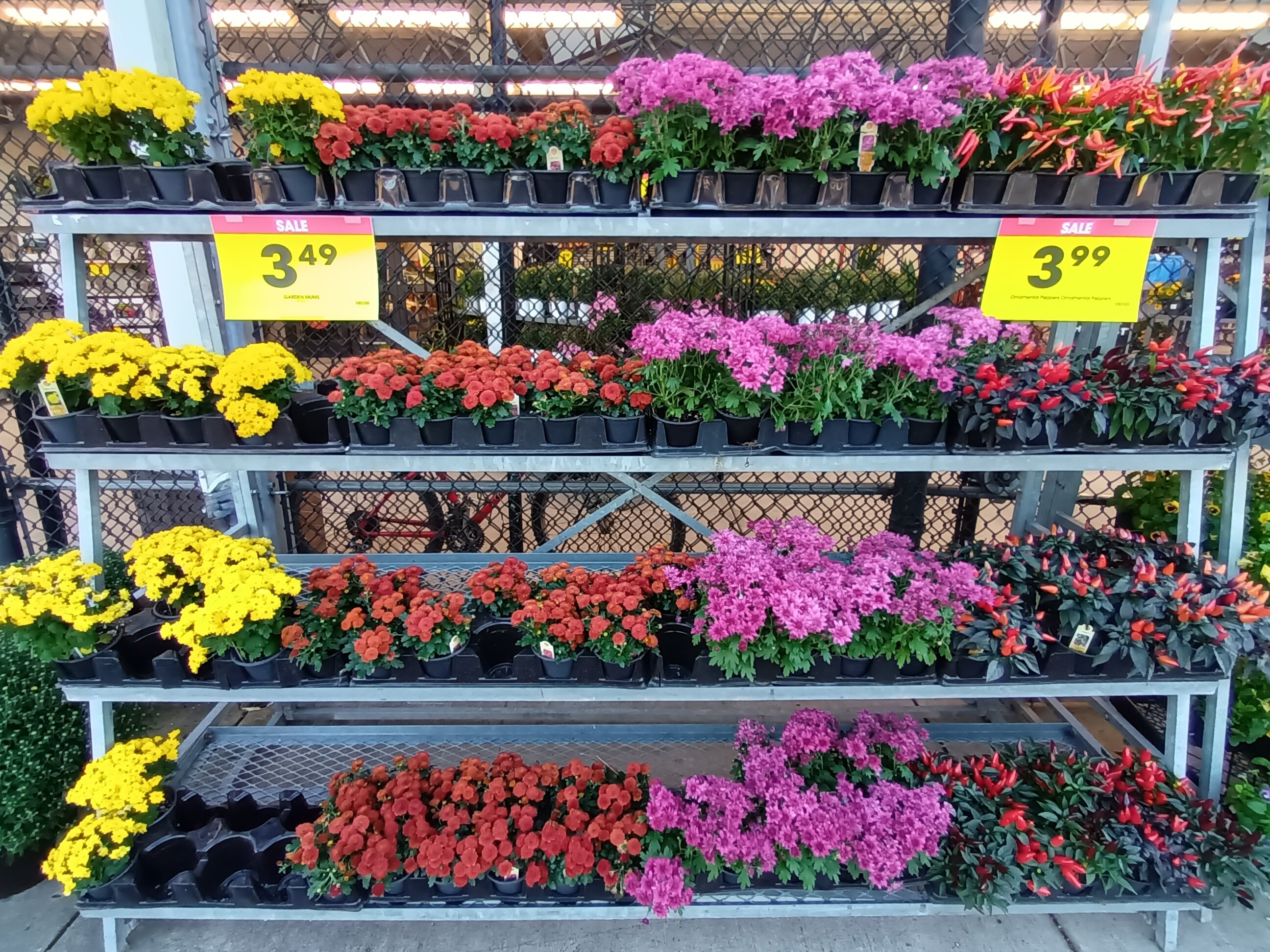 REVVL 6 Pro 5G review: T-Mobile is setting a high bar for budget phones