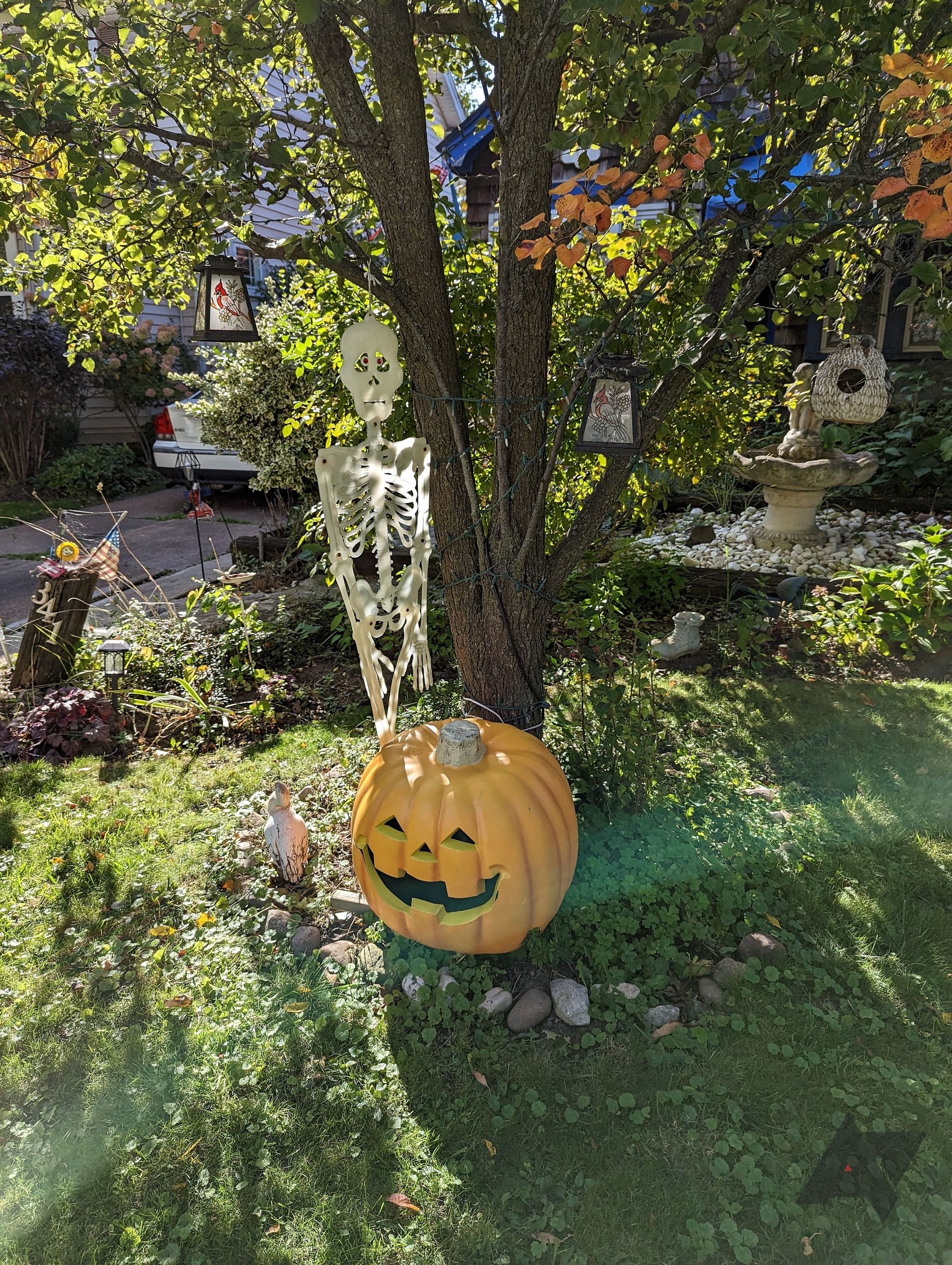 Google Pixel 7 Pro review: A showcase for Google