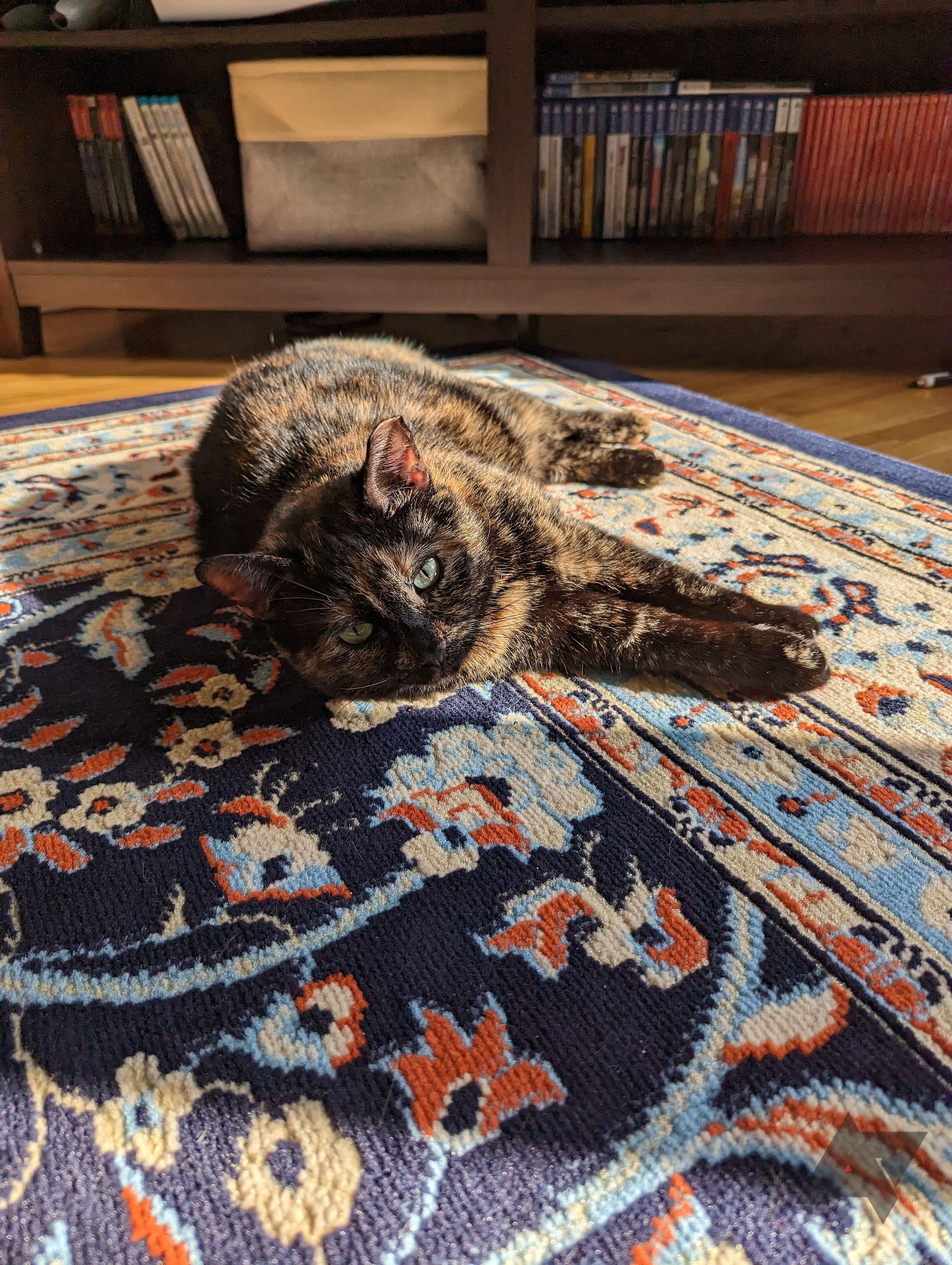 Google Pixel 7 Pro review: A showcase for Google