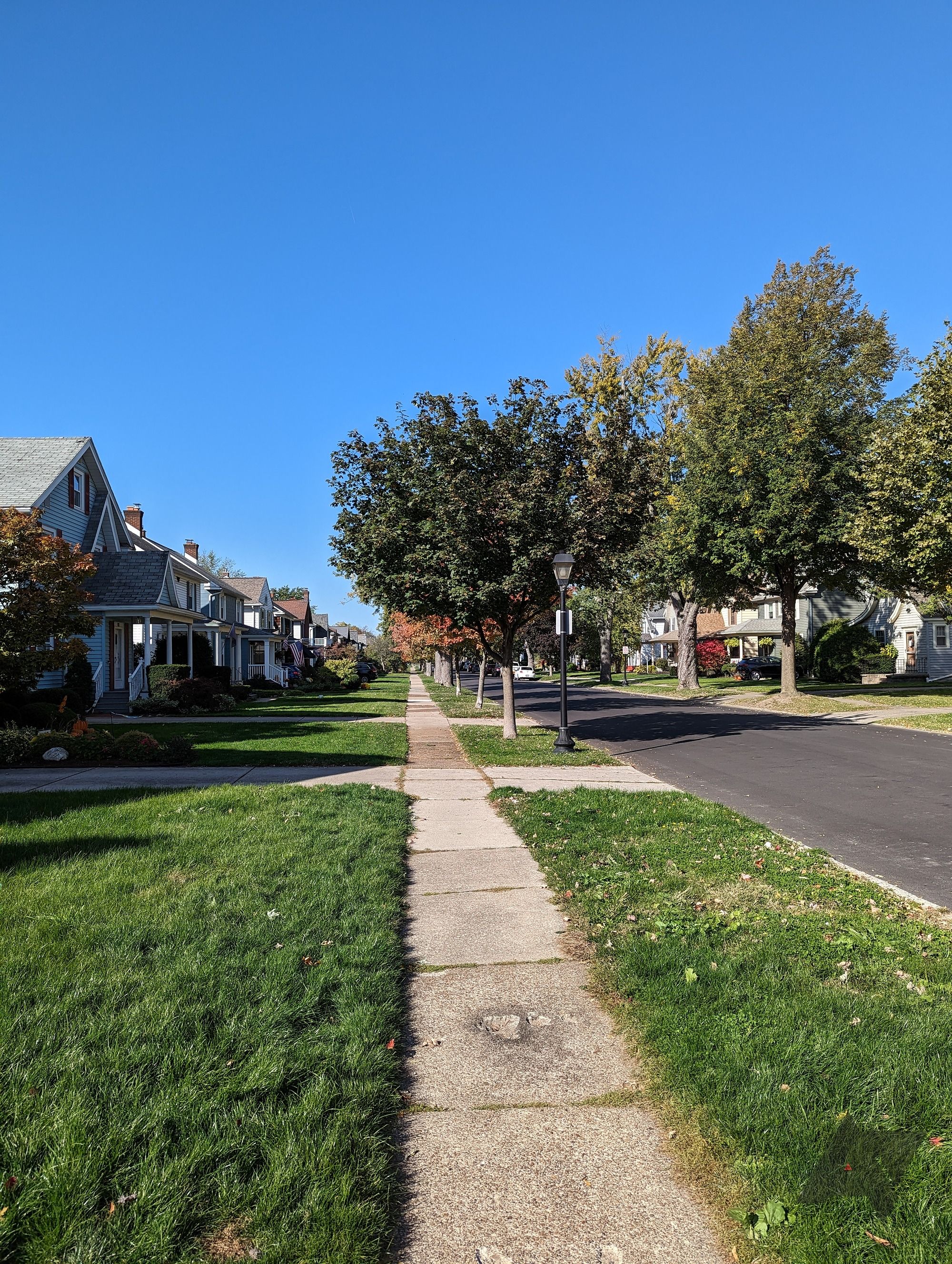 Google Pixel 7 Pro review: A showcase for Google