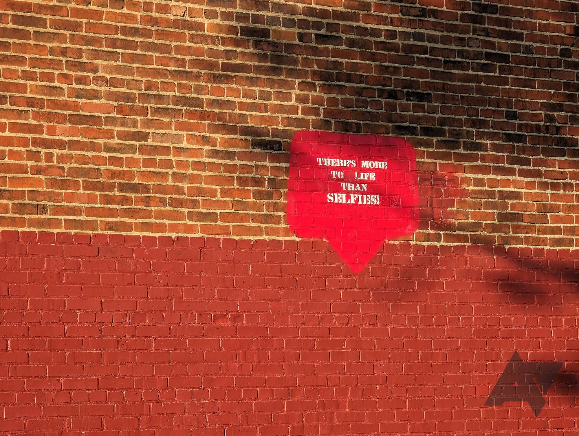 Google Pixel 7 Pro: 7 of our top tips for perfect photos