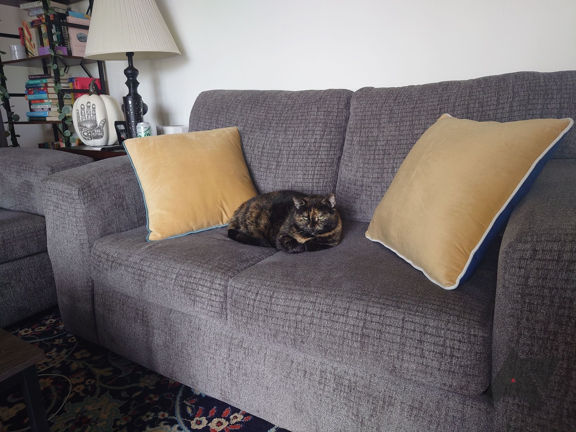 Sony Xperia 5 IV review