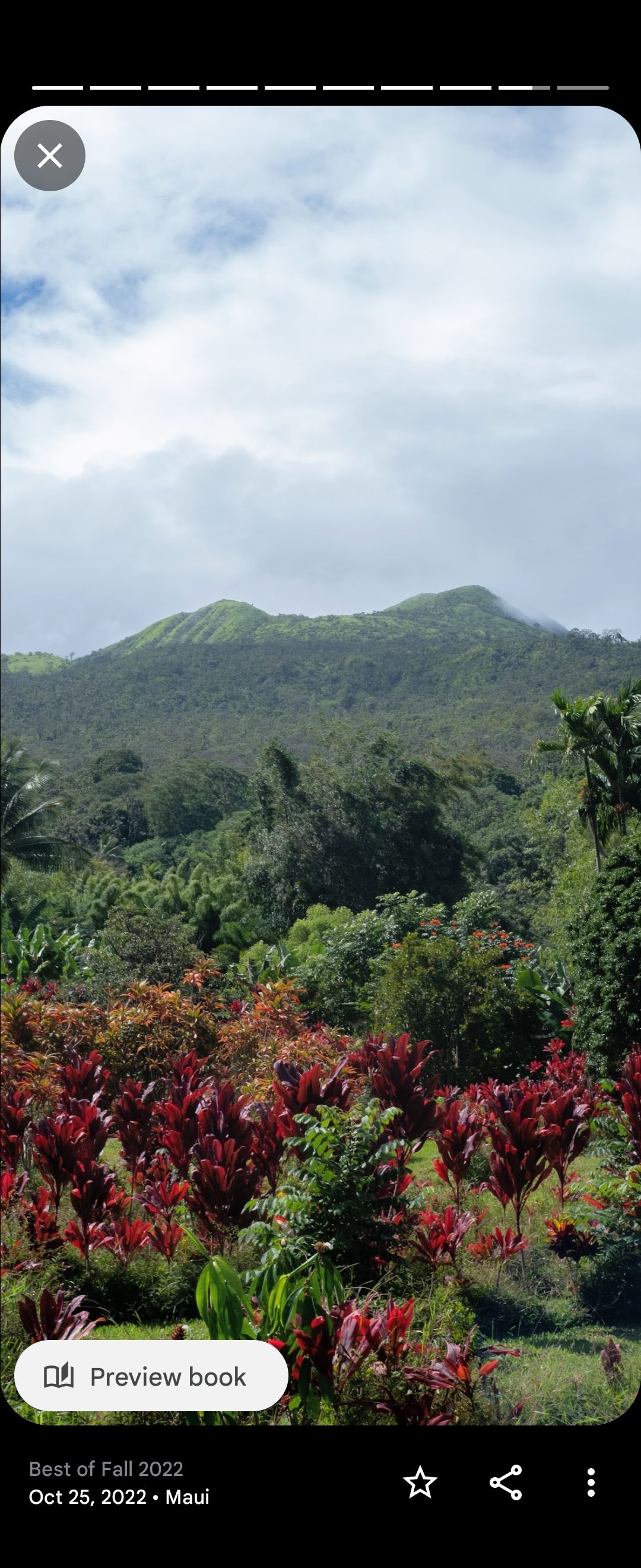 Best of Fall 2022 slideshows appear in Google Photos as winter approaches