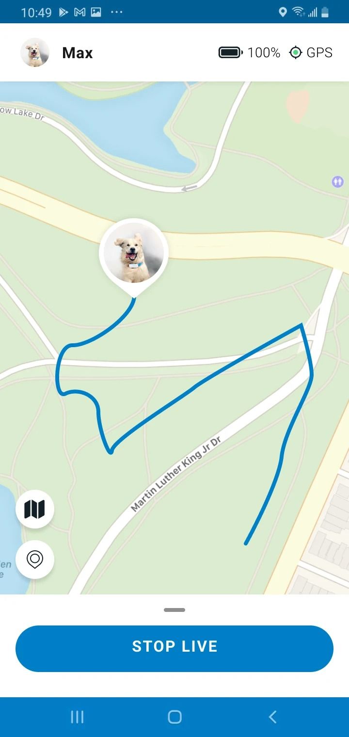 8 best pet apps on Android for every owner