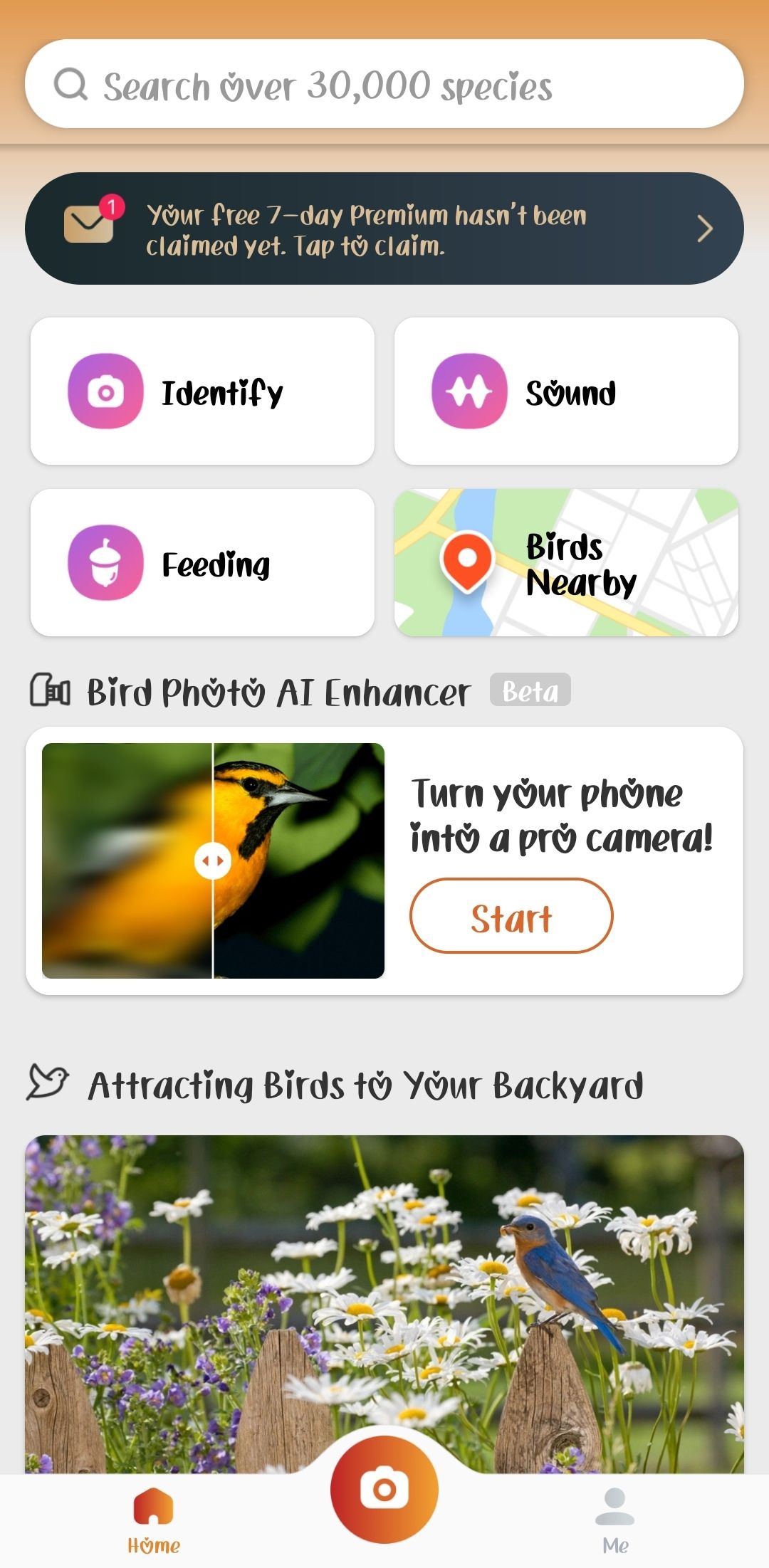 8 best birding apps in 2024