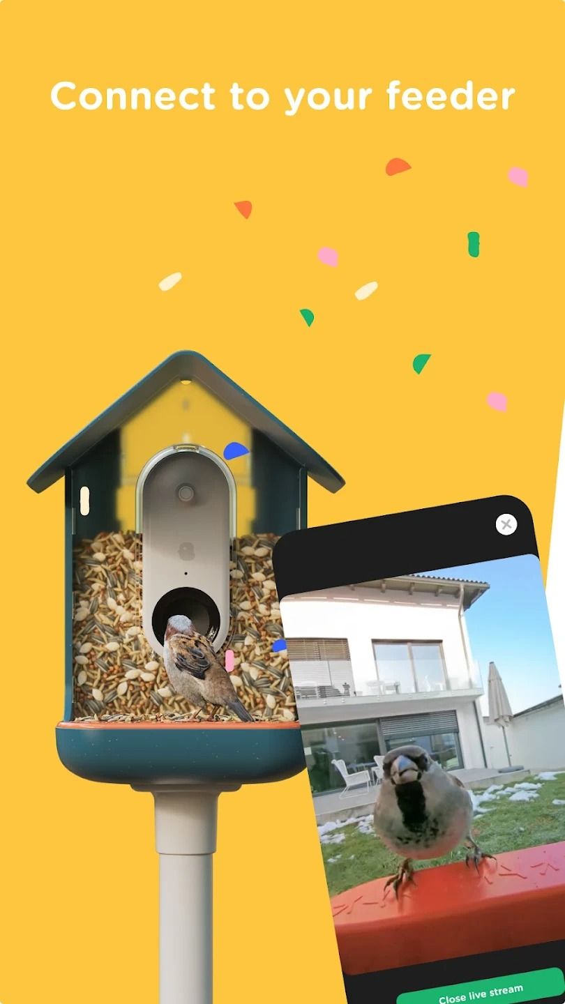 8 best birding apps in 2024