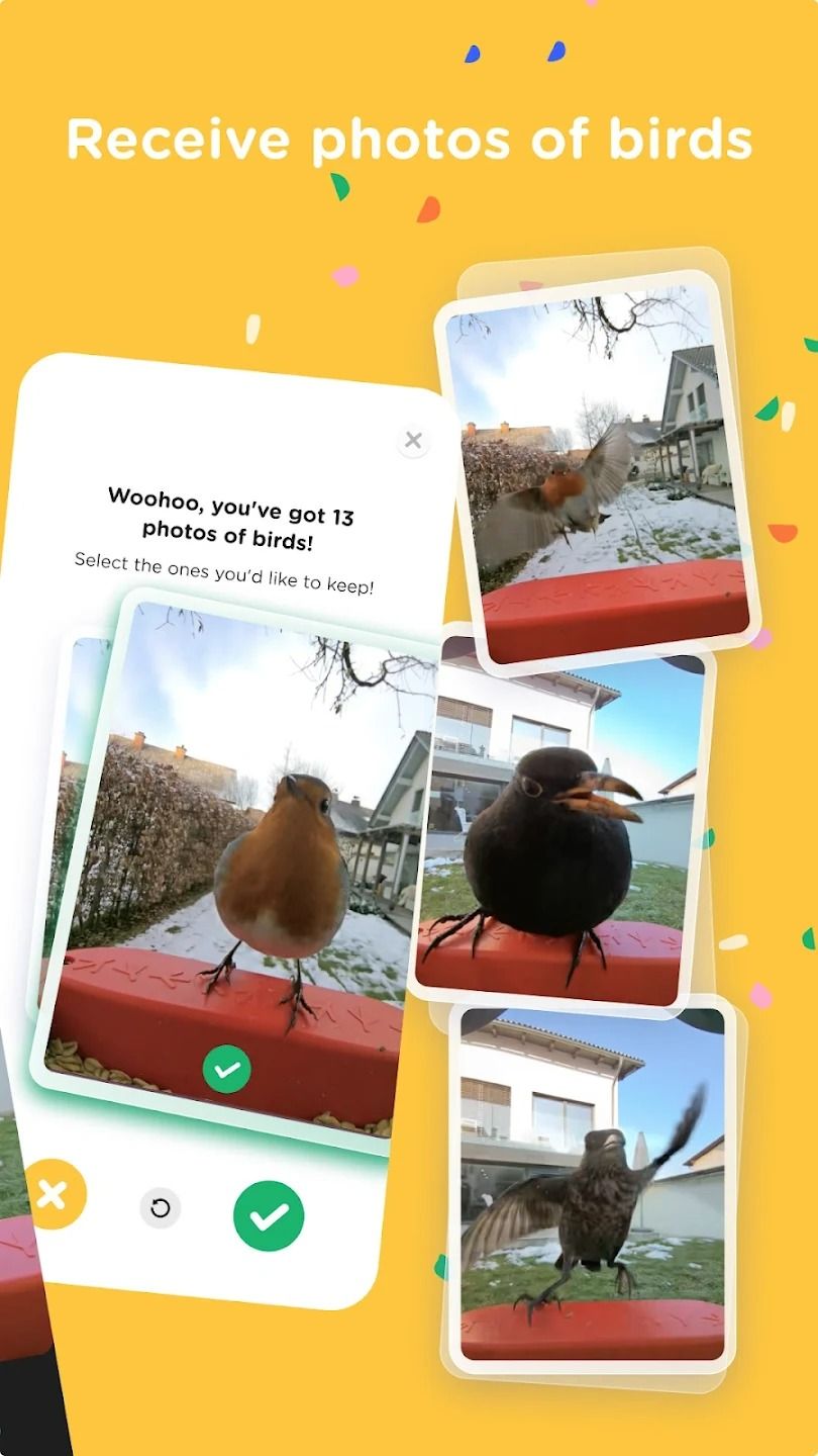 8 best birding apps in 2024