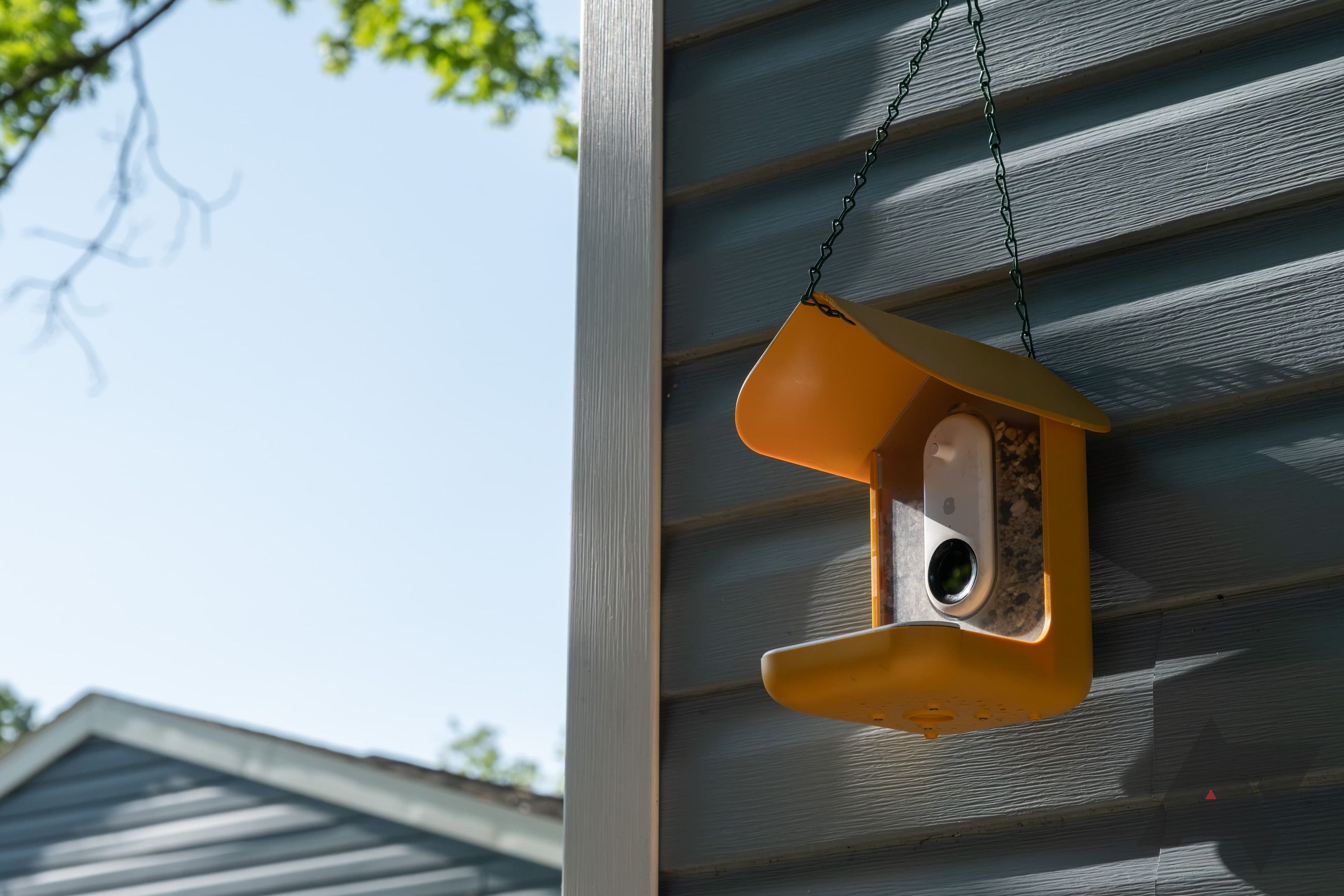 Bird Buddy smart bird feeder review: Amateur ornithology at its cutest Bird Buddy smart bird feeder review: Amateur ornithology at its cutest