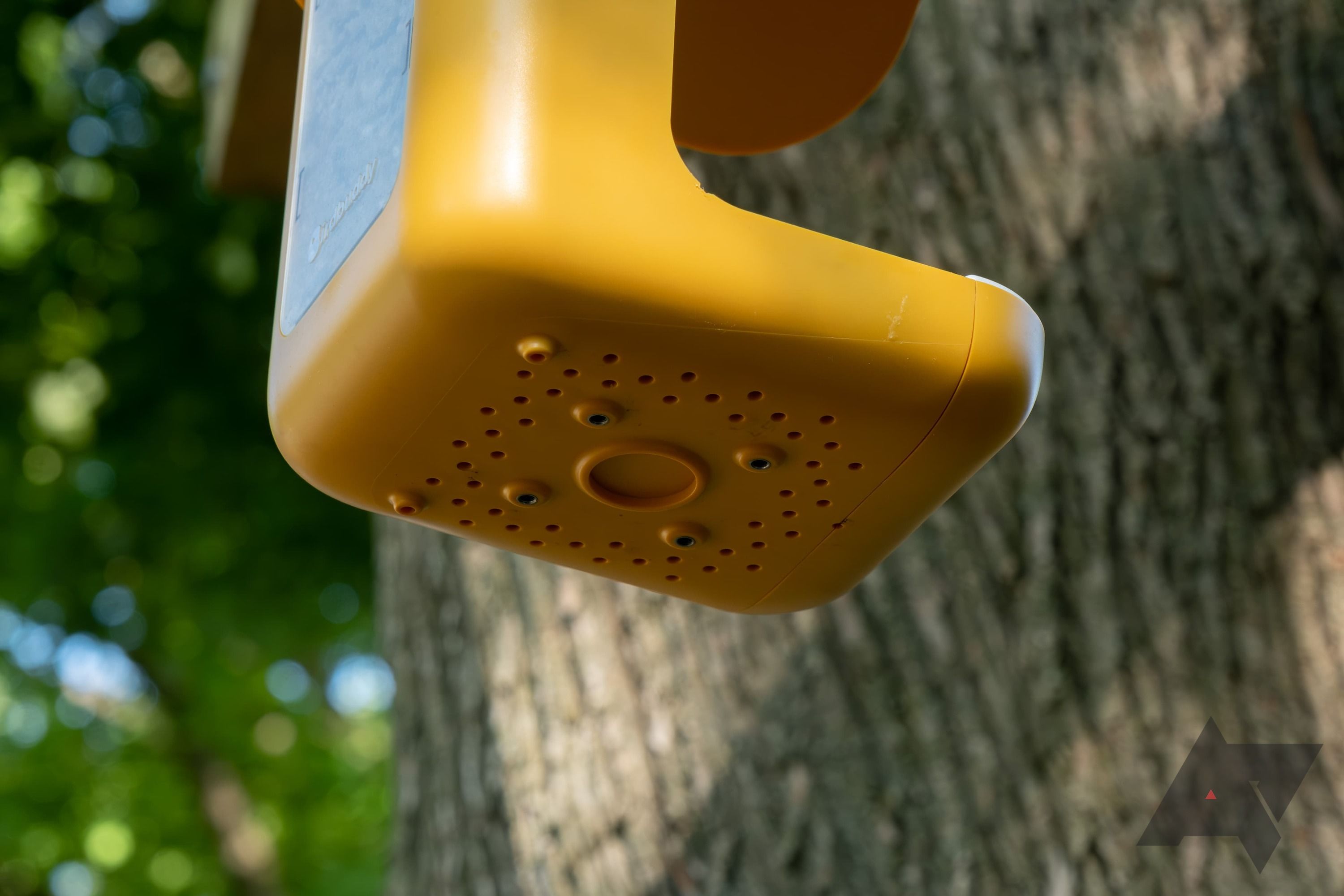 Bird Buddy smart bird feeder review: Amateur ornithology at its cutest Bird Buddy smart bird feeder review: Amateur ornithology at its cutest