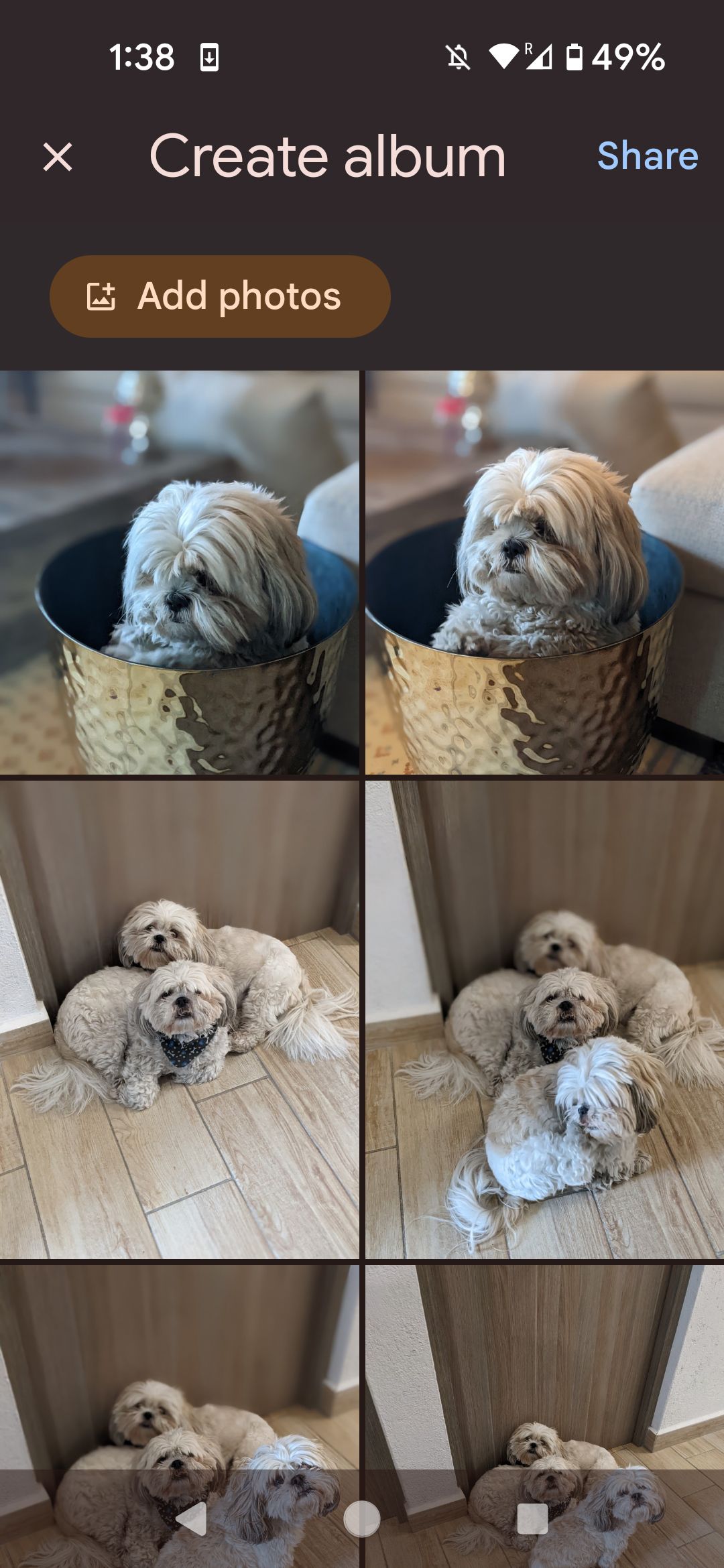 Google Photos tips and tricks to tame your photo collection