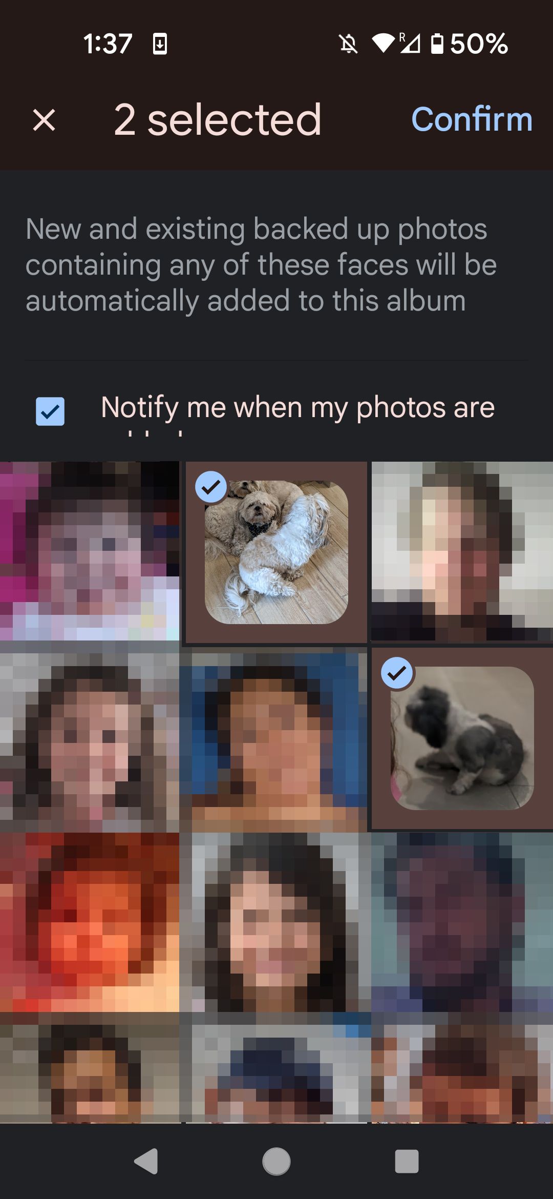 Google Photos tips and tricks to tame your photo collection