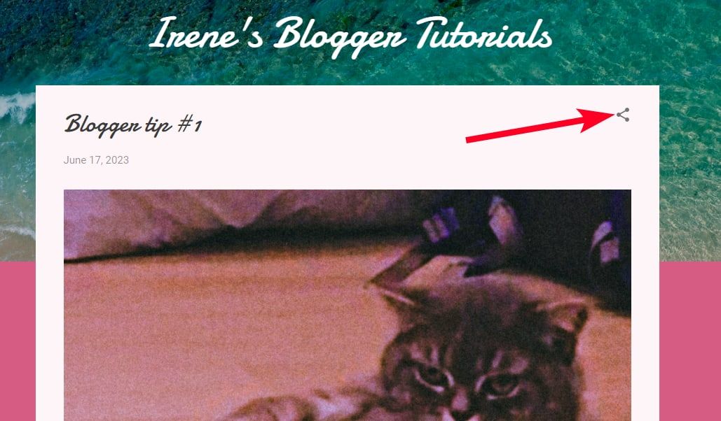 Blogger: Our 11 favorite tips and tricks