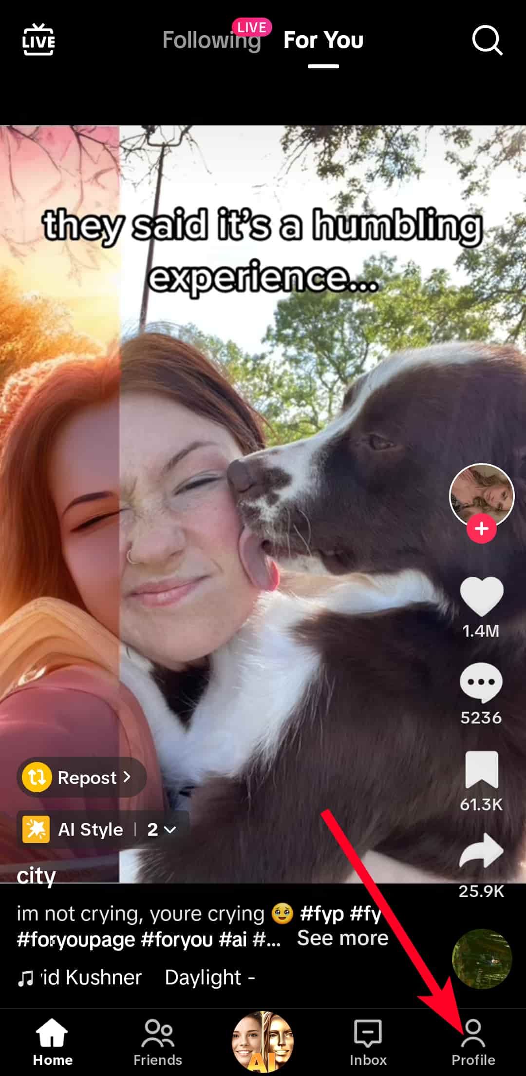 The top 12 TikTok problems and how to solve them