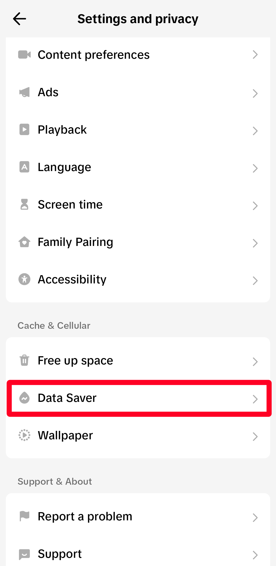 The top 12 TIkTok problems and how to solve them