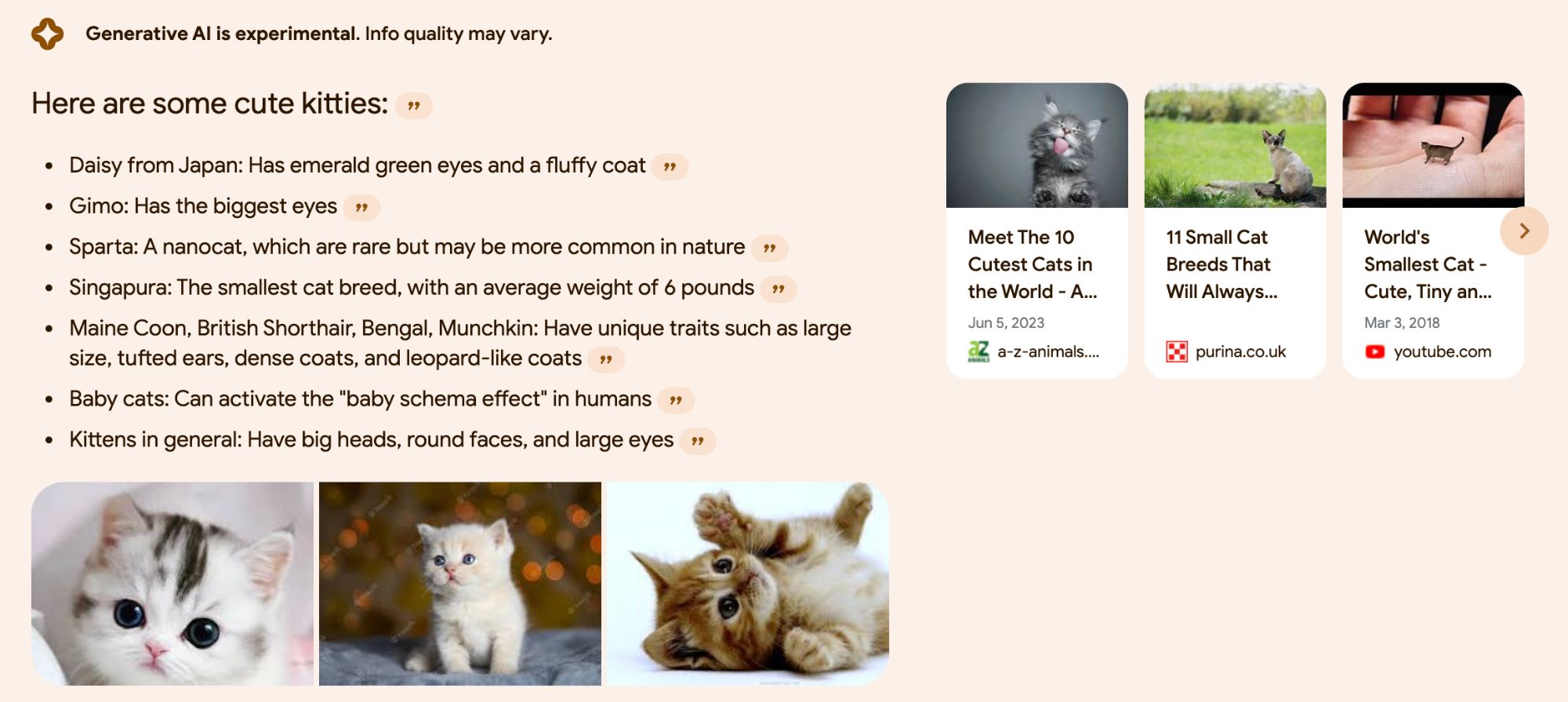 Google Search adds images and video as well as source links in its ...