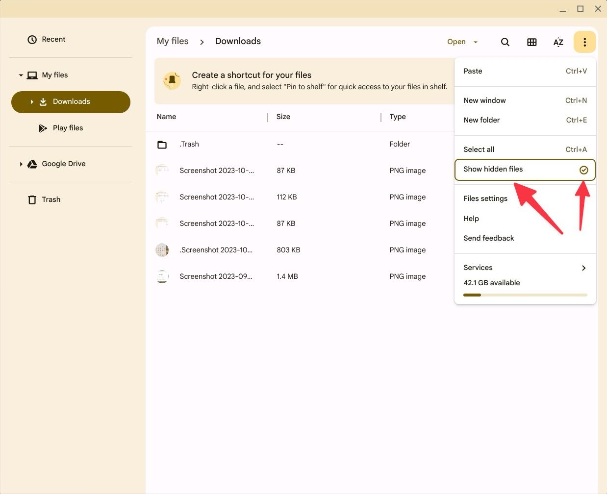 How to hide files and folders on your Chromebook