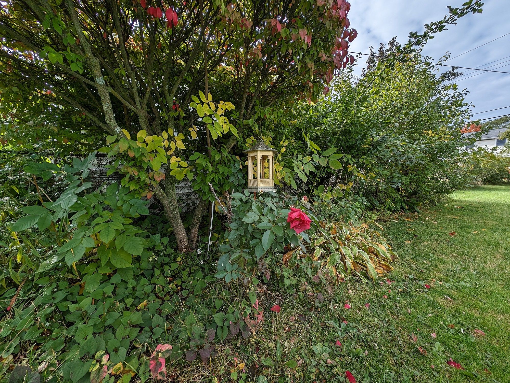 Google Pixel 8 Pro review: Living up to its name