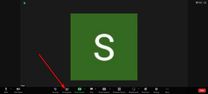 How to mute Zoom meeting participants