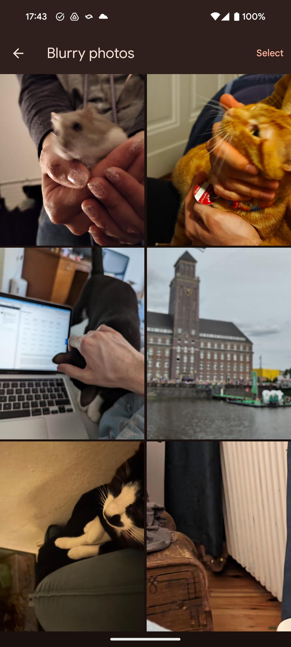 Google Photos’ new stacks could finally help me clean up my library for ...