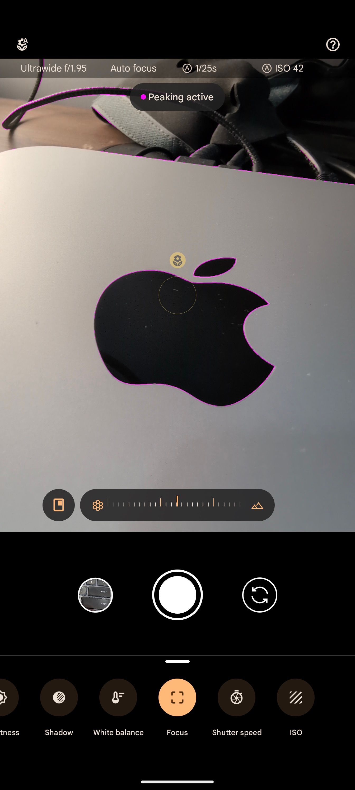 How to use Macro Focus on your Google Pixel 8 phone