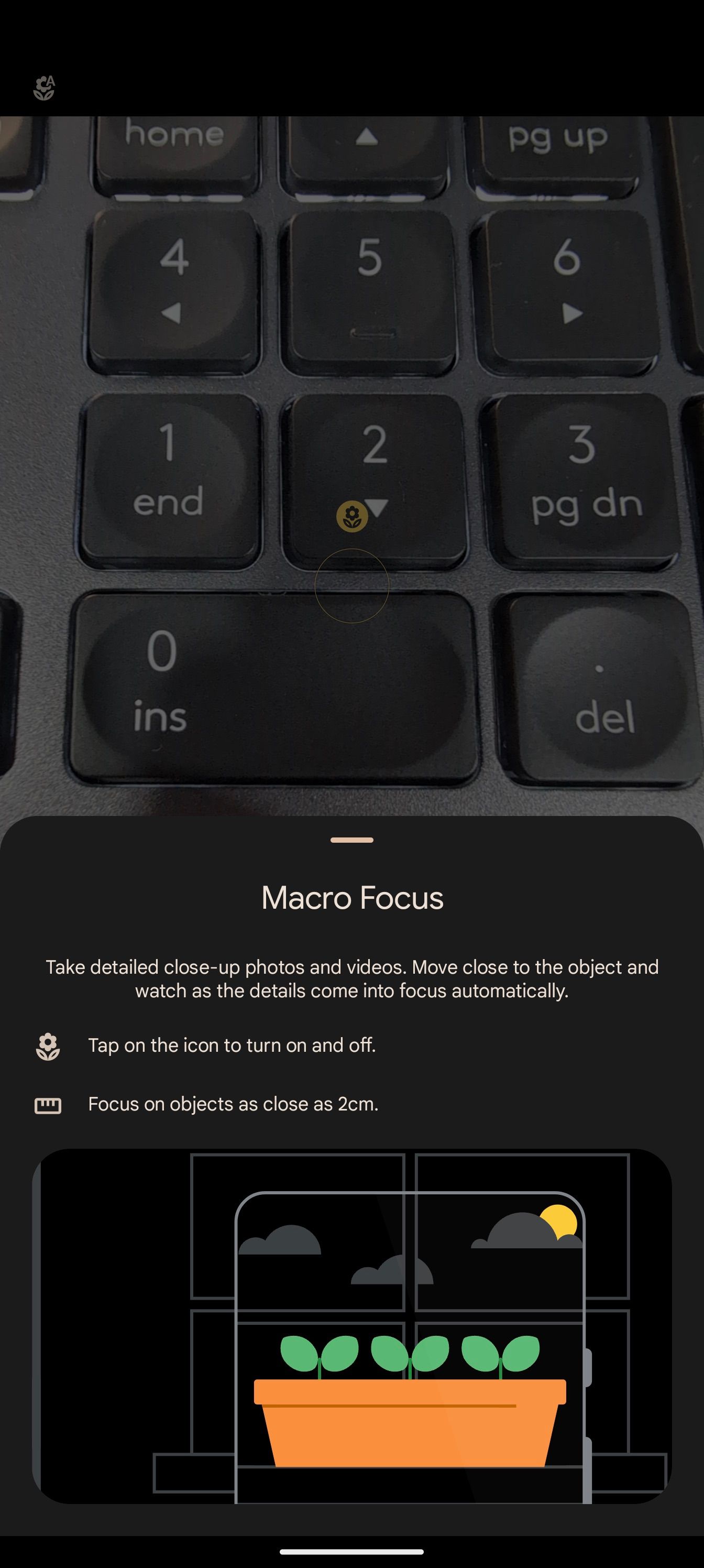 How to use Macro Focus on your Google Pixel 8 phone