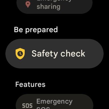 How to use Safety Check on the Pixel Watch