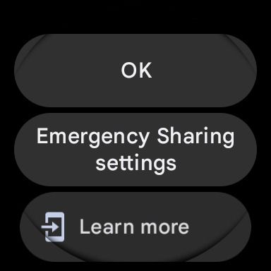 How to use Safety Check on the Pixel Watch