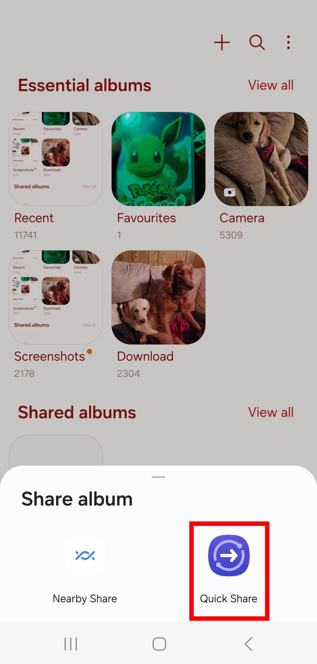 How to use Samsung Gallery’s shared album feature