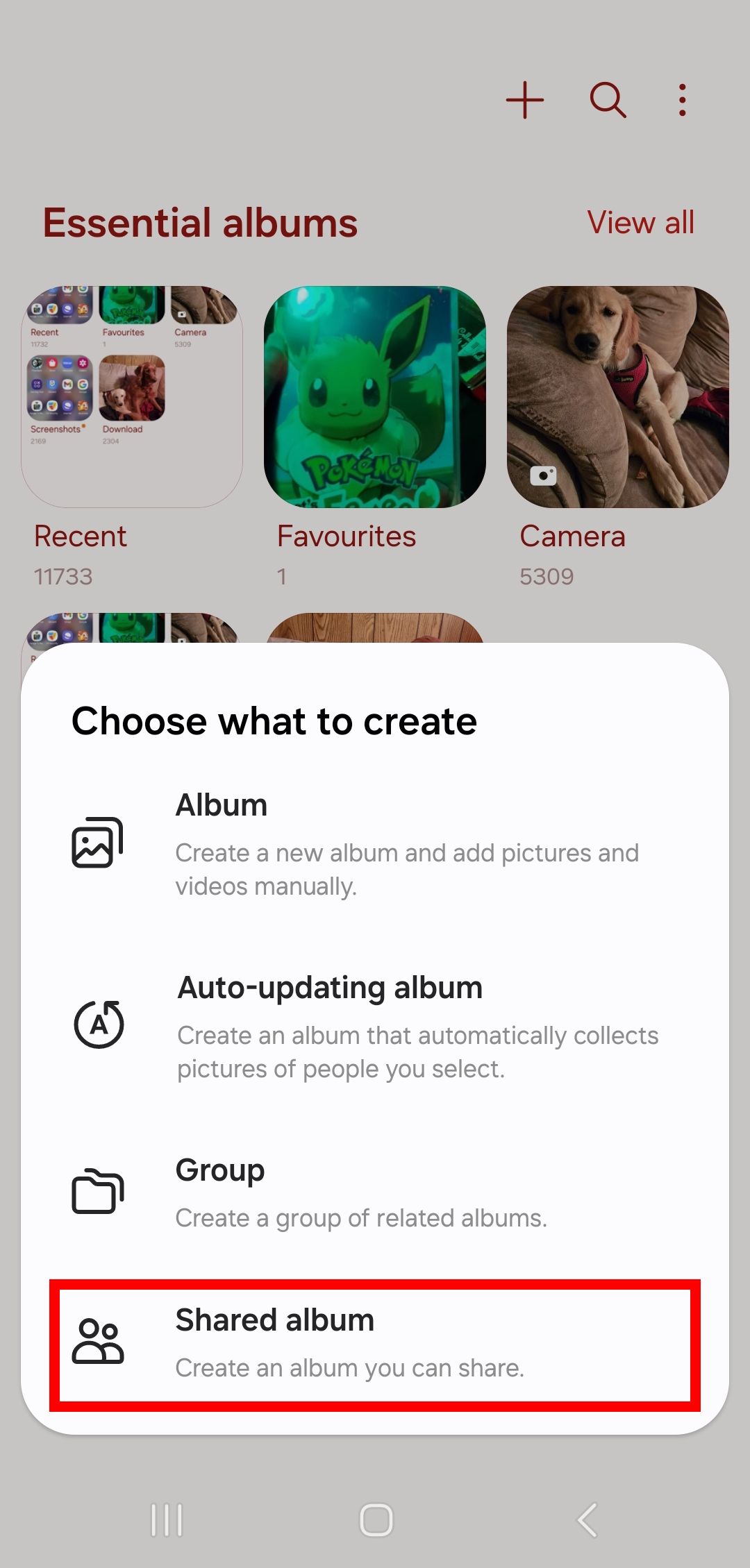 How to use Samsung Gallery’s shared album feature