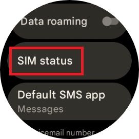 Google Pixel Watch 2: How to connect your smartwatch to LTE