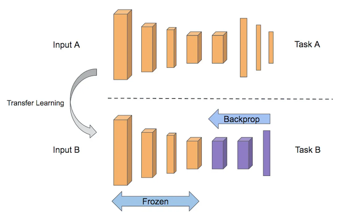 Transfer learning: Everything you need to know about the ML process