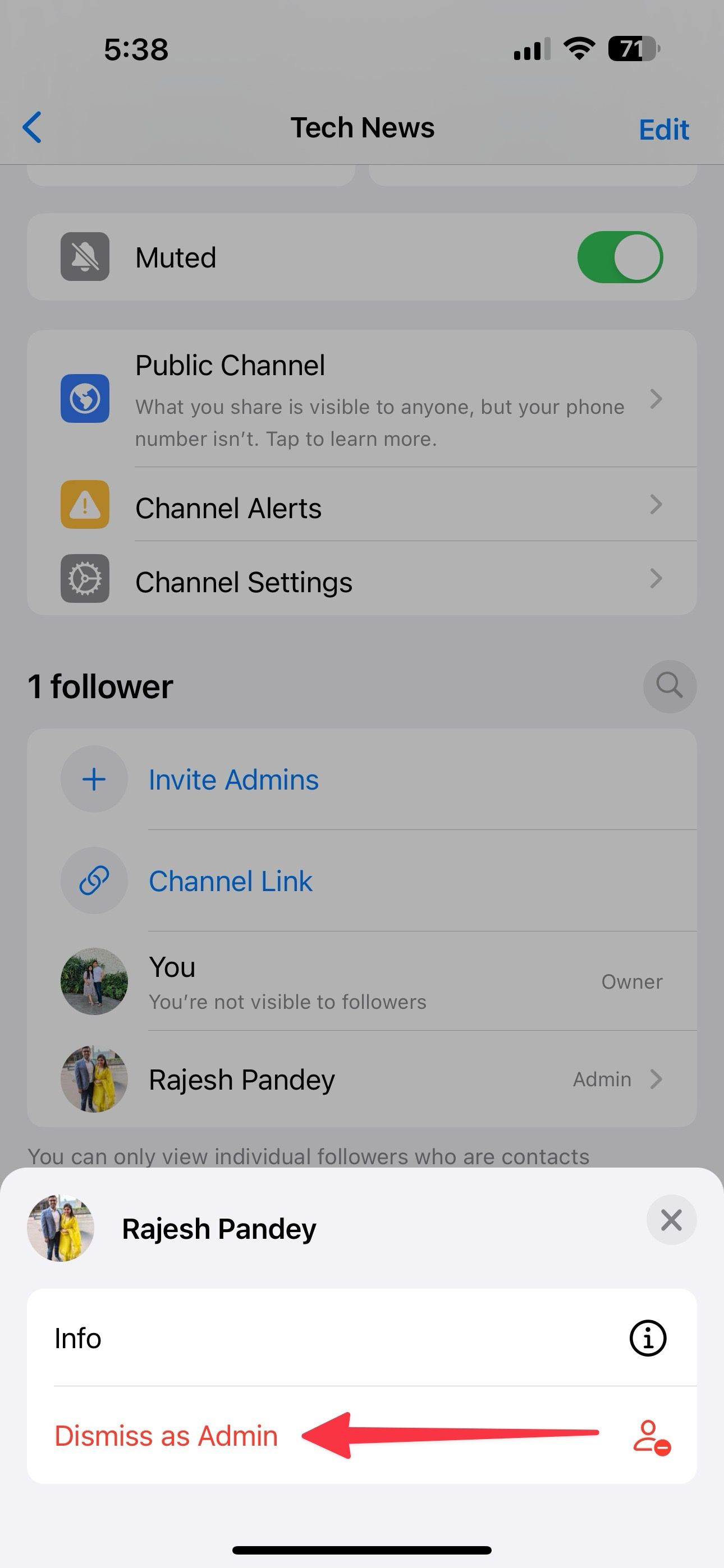 WhatsApp: How to add multiple admins to a channel