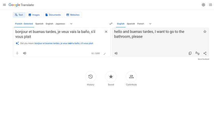 Google Translate: How to use the language detection feature
