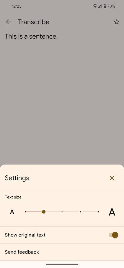 Google Translate: How to translate or transcribe voice to text