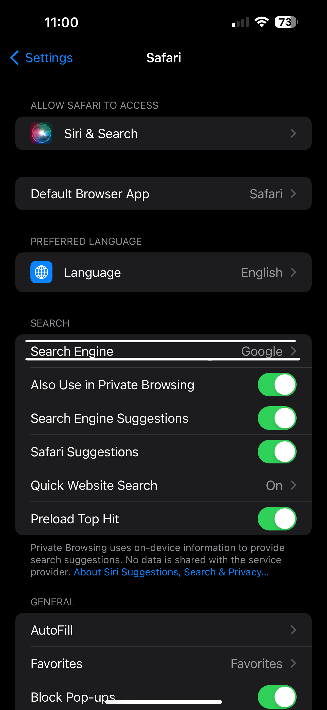 Google pays Apple top dollar to be the default Safari search engine