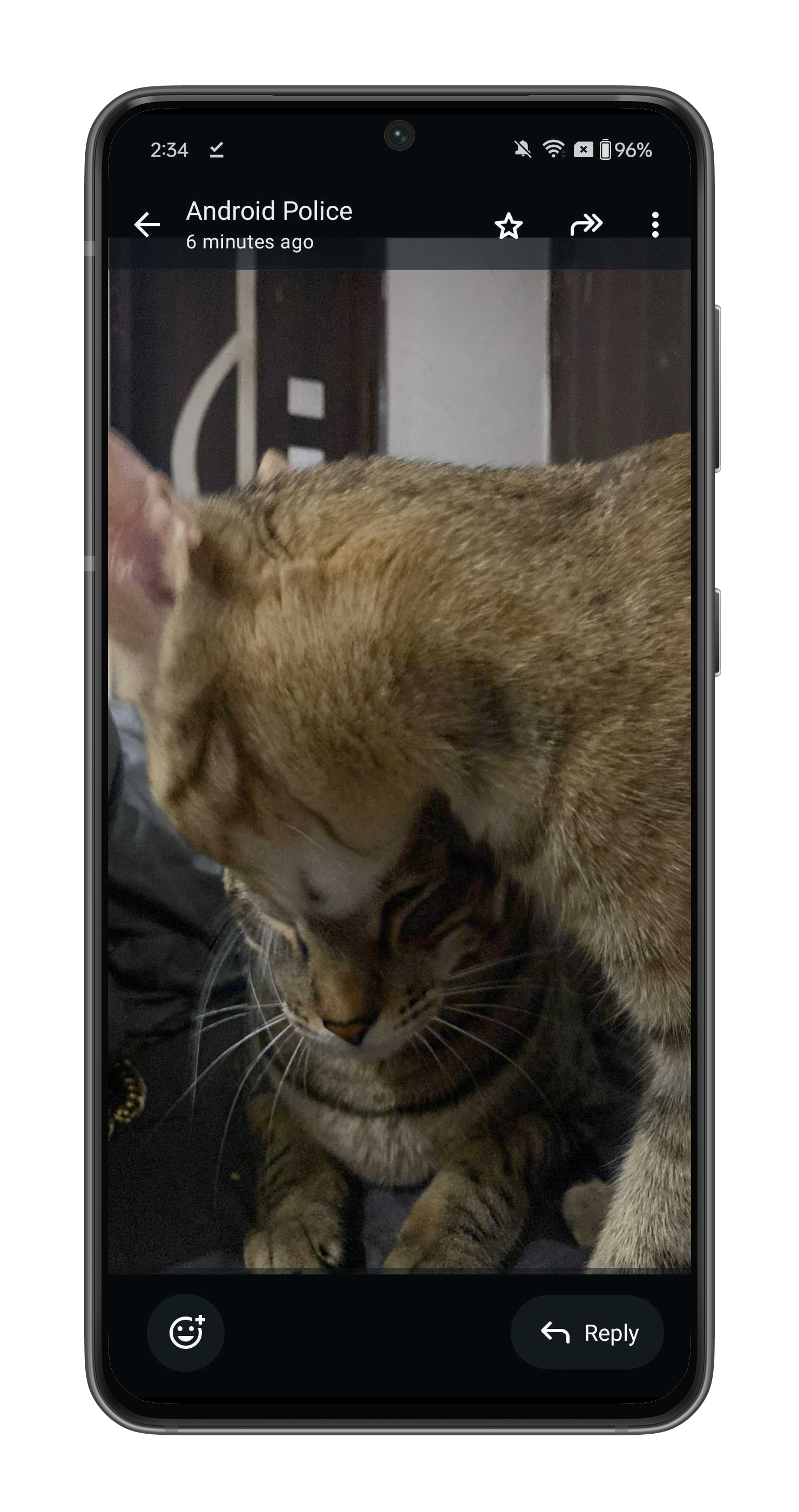 WhatsApp's media viewer gets a new UI with a focus on reactions