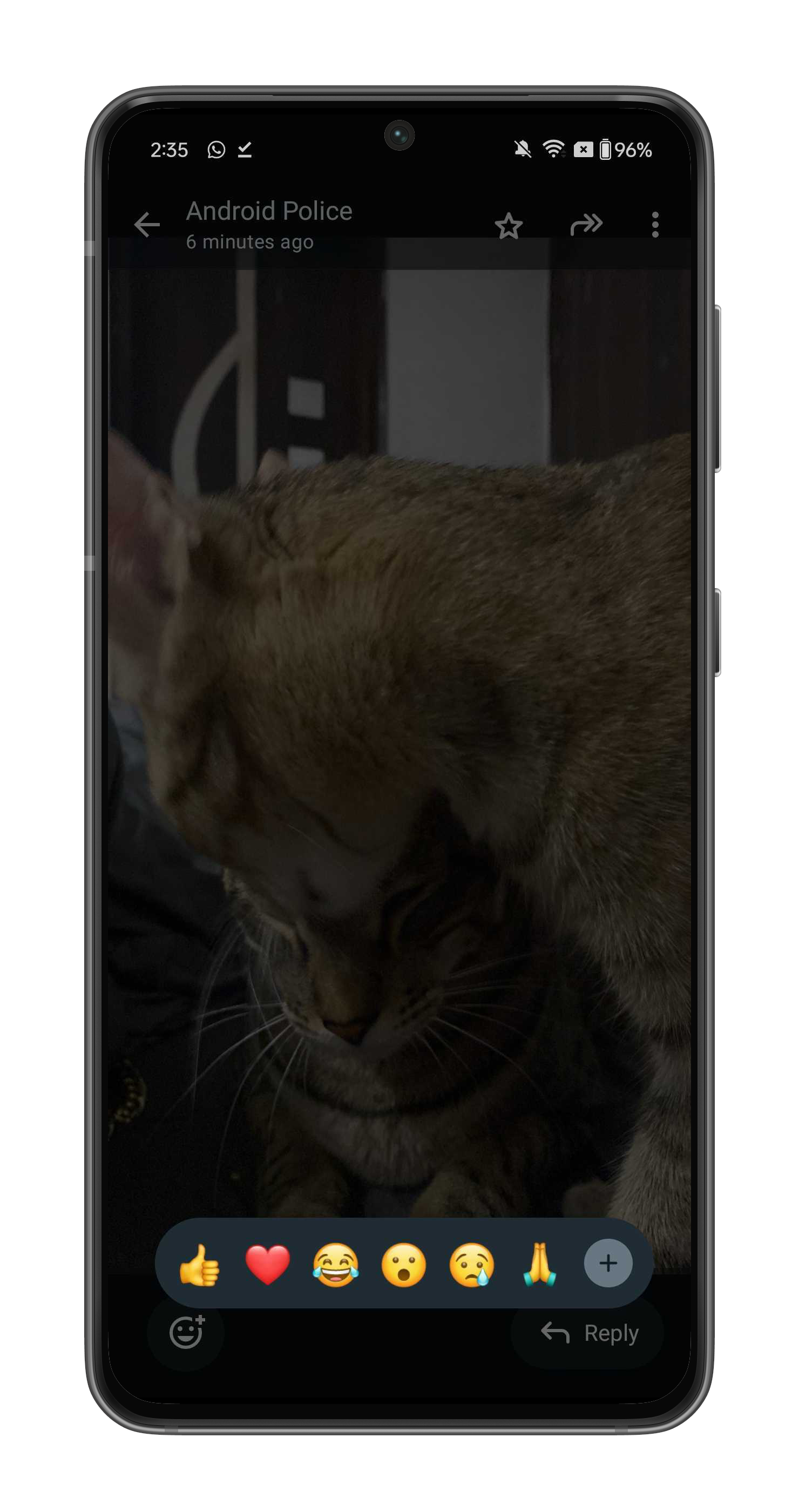 WhatsApp's media viewer gets a new UI with a focus on reactions