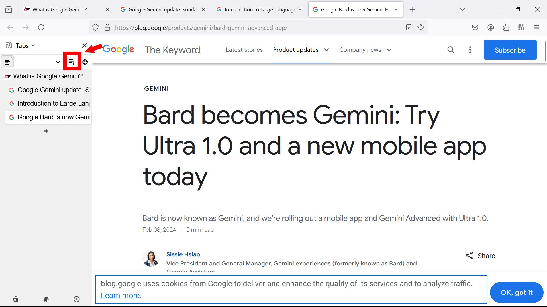 Mozilla Firefox: How to use and add group tabs in the web browser