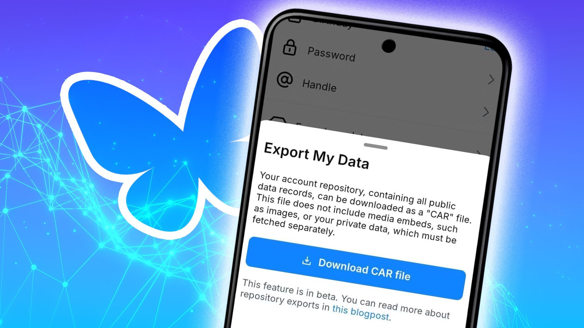 Bluesky: How to export your data