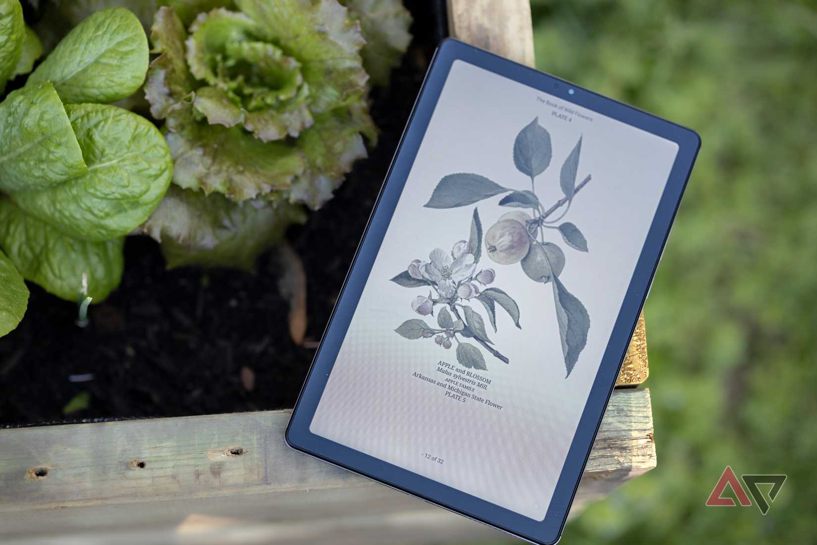 Best cheap Android tablets in 2025